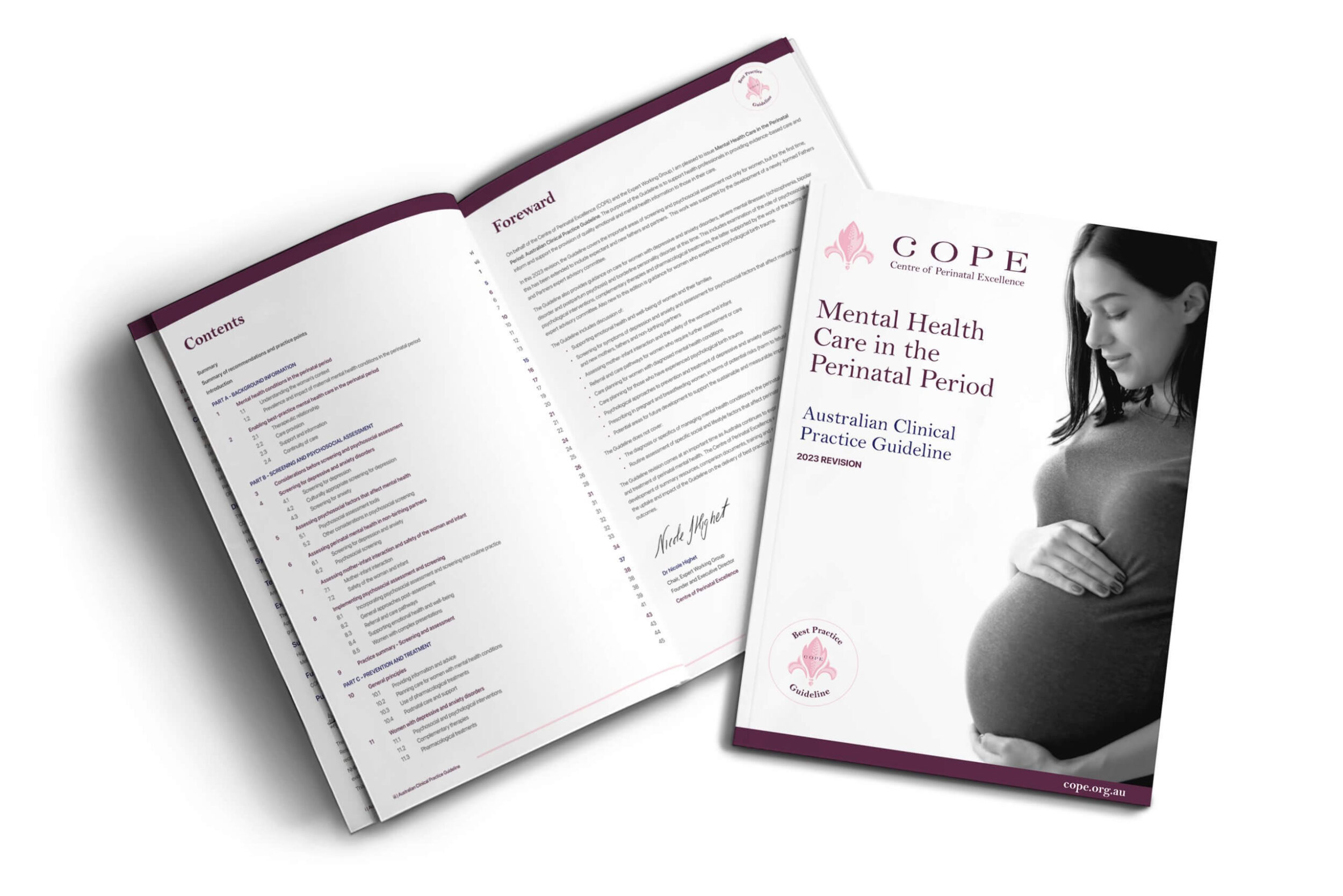 2023 National Perinatal Mental Health Guideline | COPE